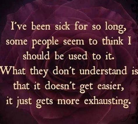 Its So Fucking Annoying R Zebramemes