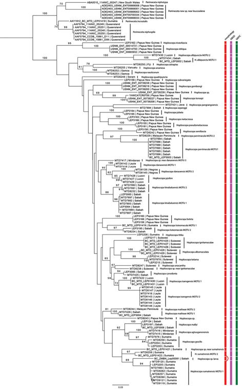 Raxml Analysis Of The Coi Barcode Dataset Partitionned After Codon