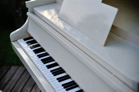 「panio」の写真素材 13件の無料イラスト画像 Adobe Stock