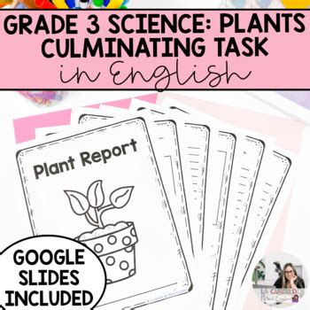 Plants Culminating Task English Version By La Classe De Mme Caroline