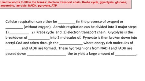Biology Photosynthesis And Cellular Respiration Test Flashcards Quizlet