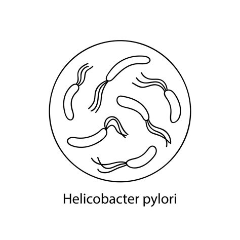 Pathogene Bacteriën Bacteriële Micro Organismen Microbiologie