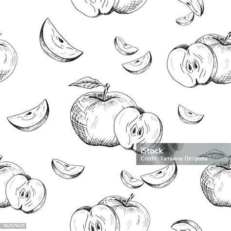애플 배경 흰색 배경에 손으로 그린 검은 사과의 원활한 패턴 스케치 스타일 벡터 배경입니다 건강한 식생활에 대한 스톡 벡터 아트 및 기타 이미지 Istock