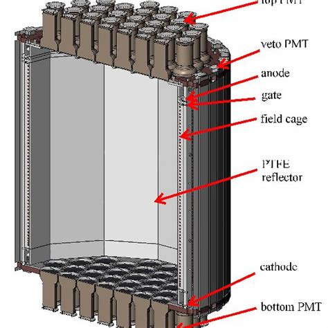 Schematic Drawing Of The Pandax Ii Tpc Key Components Such As Top And Download Scientific