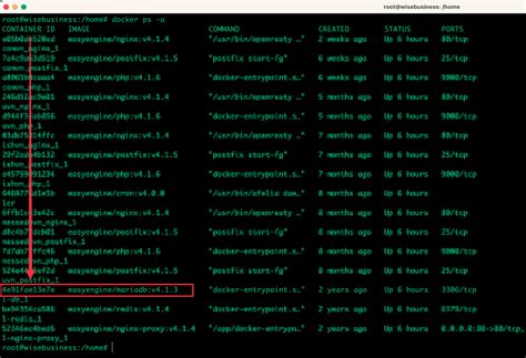 Hướng Dẫn Dump Database Từ Container Trên Docker