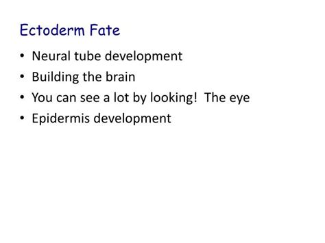 Ppt Ectoderm Fate Powerpoint Presentation Free Download Id 2433118