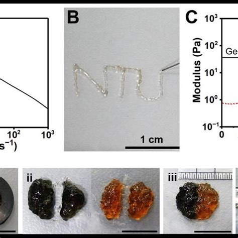 Strain Dependent And In Situ Saxs For The Cc Hydrogel At 25 °c Solid Download Scientific