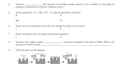 Cell Homeostasis Virtual Lab Answer Key Chegg Suggested And Clear