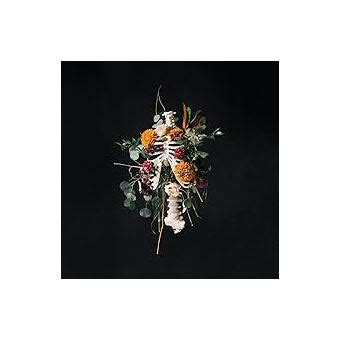 Graves Into Gardens Elevation Worship Cd Album Achat And Prix Fnac