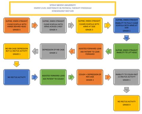 Spine MMT Flashcards Quizlet