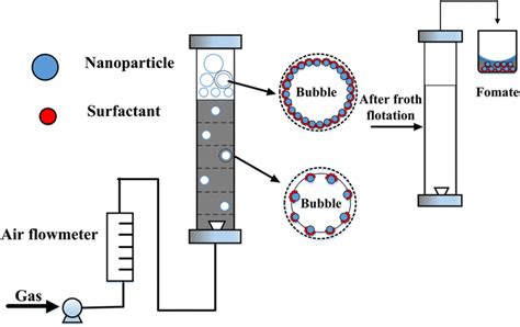 The Schematic Diagram Of The Experimental Setup Download Scientific Diagram