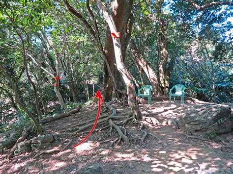 總督府步道 頭寮山 健行筆記