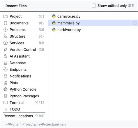 Part 1 Find By Name Recent Usages And Searching Everywhere PyCharm