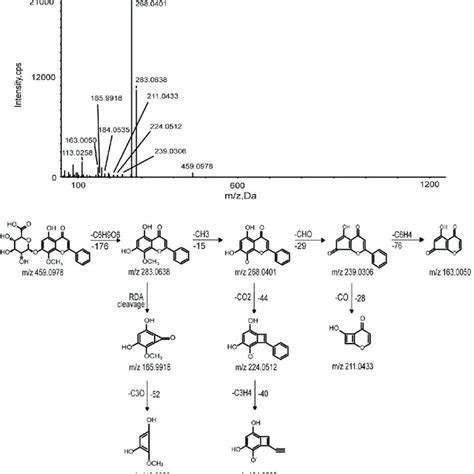 Go And Kegg Pathway Analysis A Go Analysis B Kegg Analysis Download Scientific Diagram