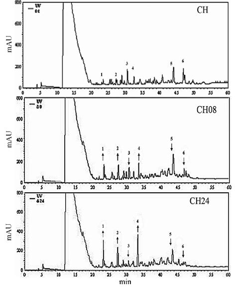 Reverse Phase Hplc Chromatograms Of Tryptic Casein Hydrolysates Treated