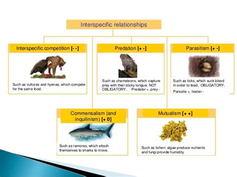Biotic Relations