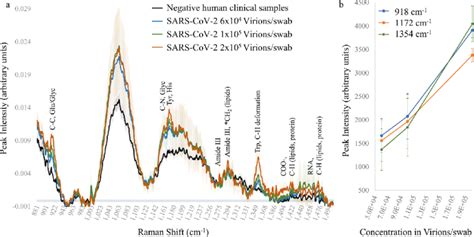 3 A Shows The Mean Raman Spectra Of Sars Cov 2 In Nasal Swab Samples Download Scientific
