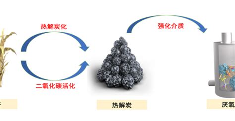 我创新团队发现秸秆热解炭高效高值利用方法 腾讯新闻