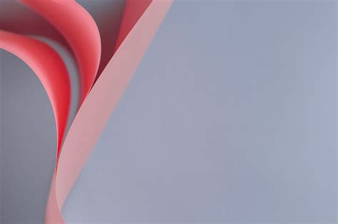 곡선과 모양이있는 보라색과 분홍색의 추상 컬러 종이 기하학 구성 배경 0명에 대한 스톡 사진 및 기타 이미지 0명 곡선 공란 Istock