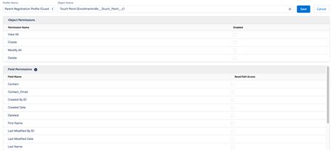 Configure The Custom Setting Allow Object Access