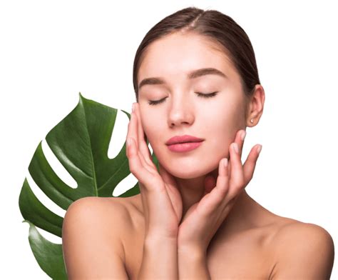 Spa And Massage 2 Wordpress Theme Xtra Elementor Wp Theme