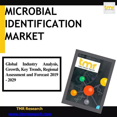 Ppt Microbial Identification Market Challenges On Upcoming Trends And Growth Opportun Powerpoint
