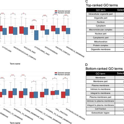 Shengquan CHEN Associate Professor Doctor Of Philosophy Nankai University Tianjin NKU