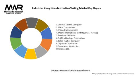 Industrial X Ray Non Destructive Testing Market Analysis Industry Size