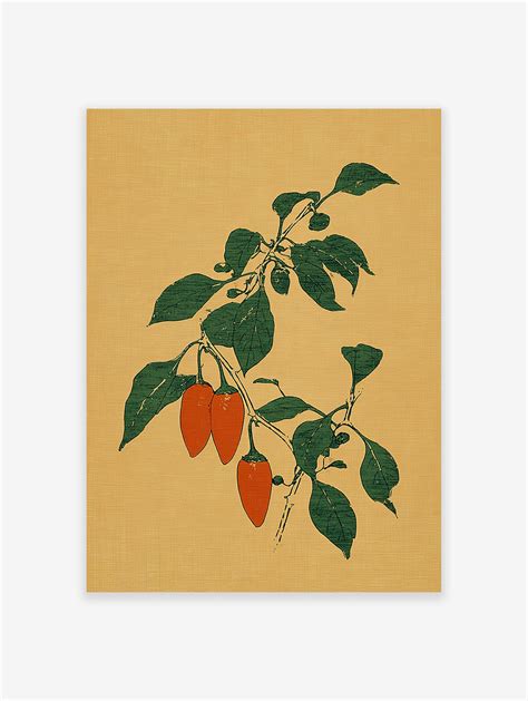 Chili Pepper Wall Art Botanical Illustration Orange Peppers Kitche