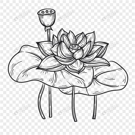 描图