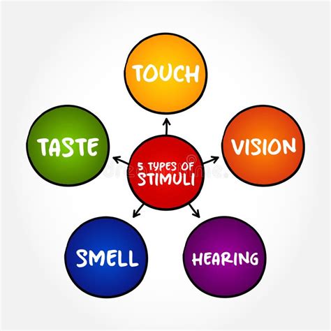 The 5 Types Of External Stimuli Divided Into Our Senses Touch