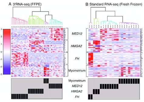 Supervised Hierarchical Clustering Analysis Using A Set Of 80 Selected Download Scientific
