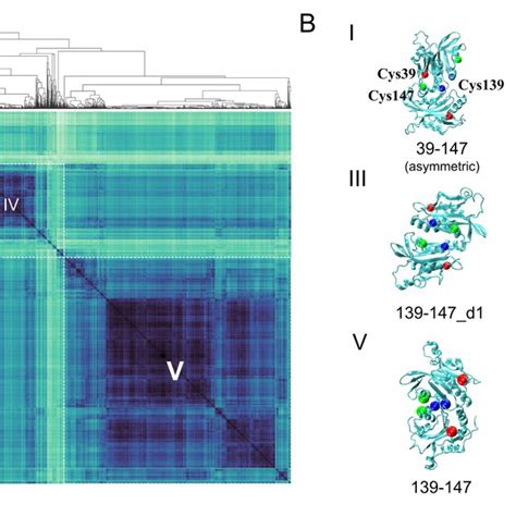 Analysis Of Structural Clustering For Various Cofilin Dimer Download Scientific Diagram