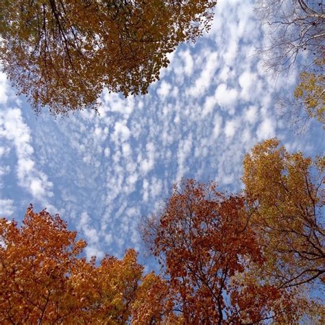 Погода в Комсомольске 🌤 Макс 10° мин 1° Комсомольск на Амуре