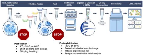Single Cell 10x Lausanne Genomic Technologies Facility