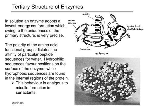Enzyme Denaturation Tertiary Structure At Margaret Bower Blog