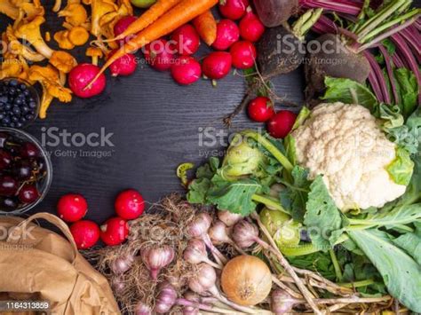 신선한 베리 야채 살구 계절 가을 수확 채식주의 자 및 채식 주의 자 다이어트 개념 유기농 현지 음식 가을에 대한 스톡 사진 및 기타 이미지 Istock