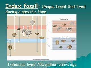 Index Fossil Ppt