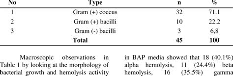 Results Of Bacterial Identification Based On Microscopic Morphology Download Scientific Diagram
