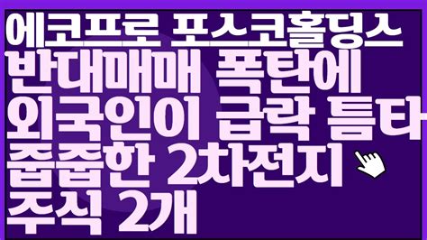 반대매매 폭탄에 외국인이 급락 틈타 줍줍한 2차전지 주식 2개 에코프로비엠 주가 전망 에코프로 주가 전망 에코프로비엠 에코프로 Posco홀딩스전망 Youtube