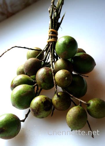 Chennet Te The Fruit The Fruit Which Gave Me My Id My … Flickr