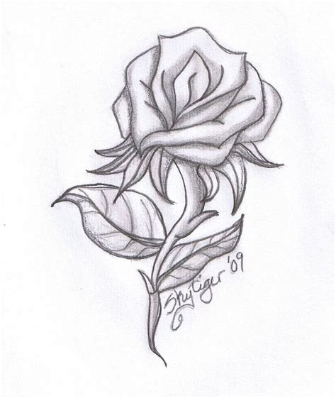 Dessin D Amour Quand On Laisse L Amour S Exprimer Dans La Langue De L Art Roses Drawing