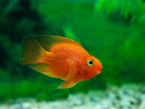 Github Martunotsusmethodforthresholding Otsuss Method For Image Thresholding