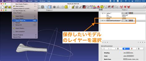 Meshlabの使い方②｜医療のためのpythonプログラミング
