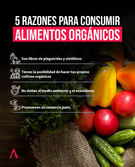 Infograficos De Alimentos Organicos