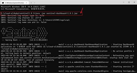 简单使用sentinel 没有nacos sentinel CSDN博客