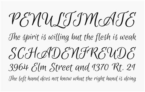 Euphoria Script Font Free Download Font Sonic