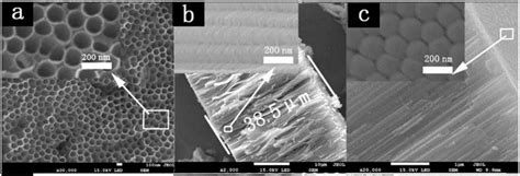 S Ti Dual Doped Tio2 Nanotube Array Preparation Method Eureka Patsnap