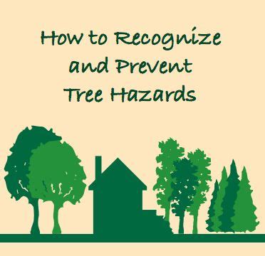 Identifying Tree Hazards PDF Nwcg Gov Branches Pre Rmc Htsc Toolbox Assessment How