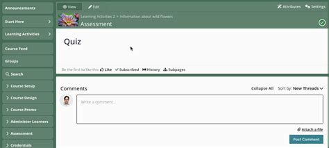 How Do I Use The Match It Widget How To Use The Match It Widget Quiz Widgets Openlearning